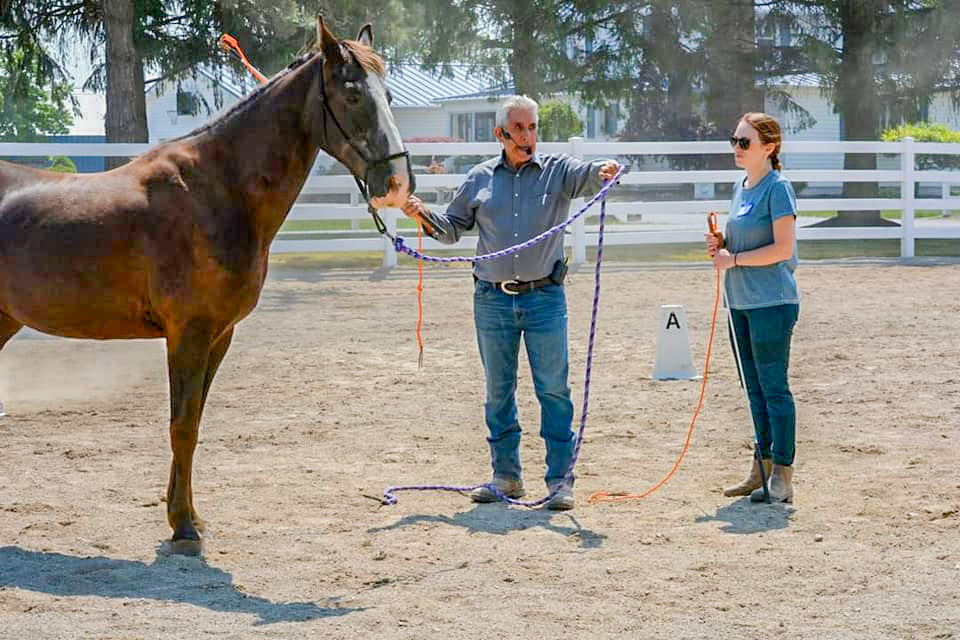 Services – Maple Crest Horse Farm LLC